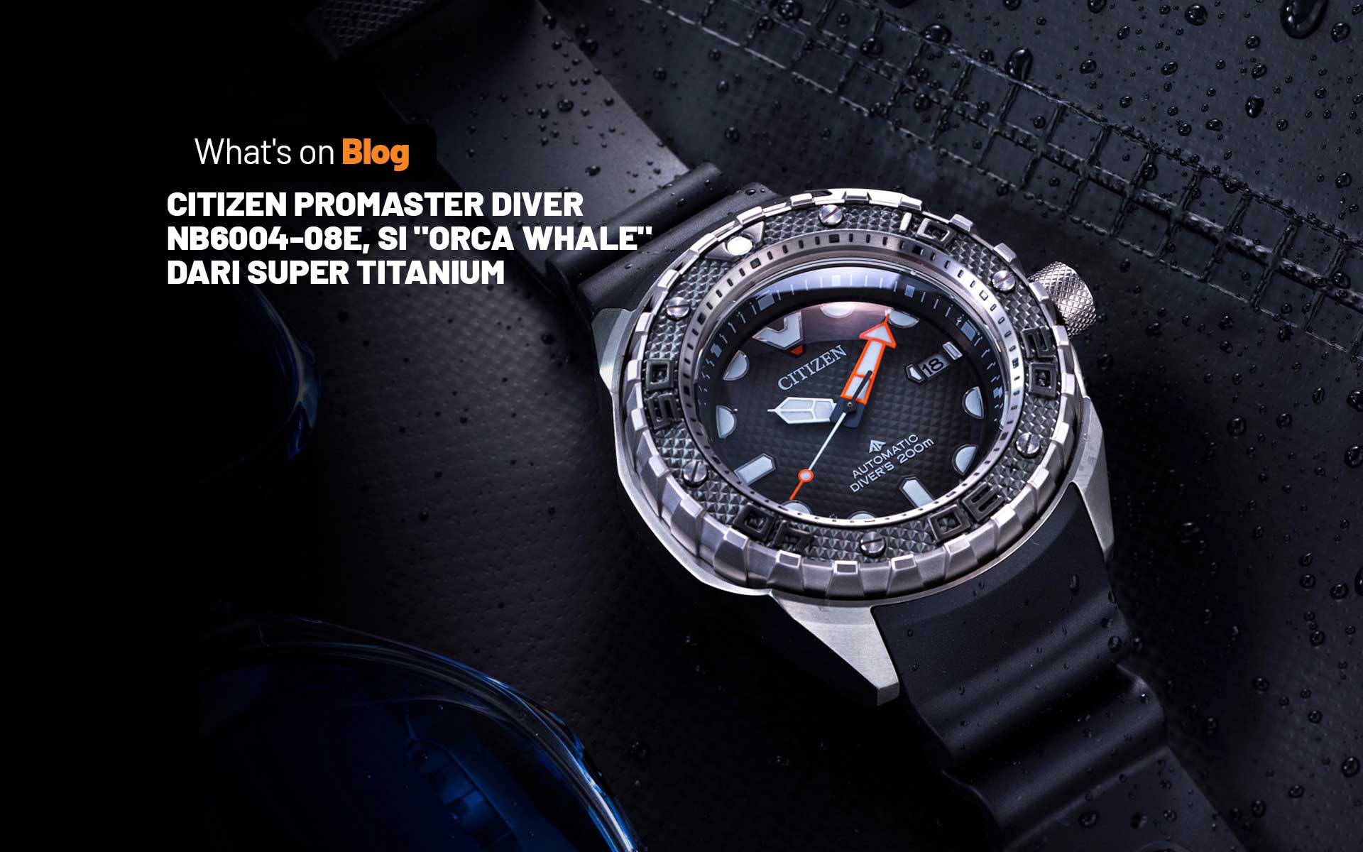 Tangguhnya Citizen Promaster Diver NB6004-08E, “Orca Whale” dari Super ...