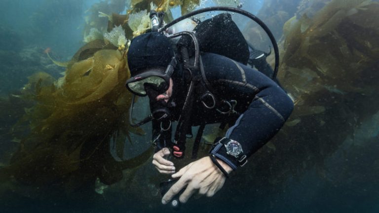 3 Jenis Jam Tangan Diver: Dari Skin Diver, Scuba Diver, hingga ...